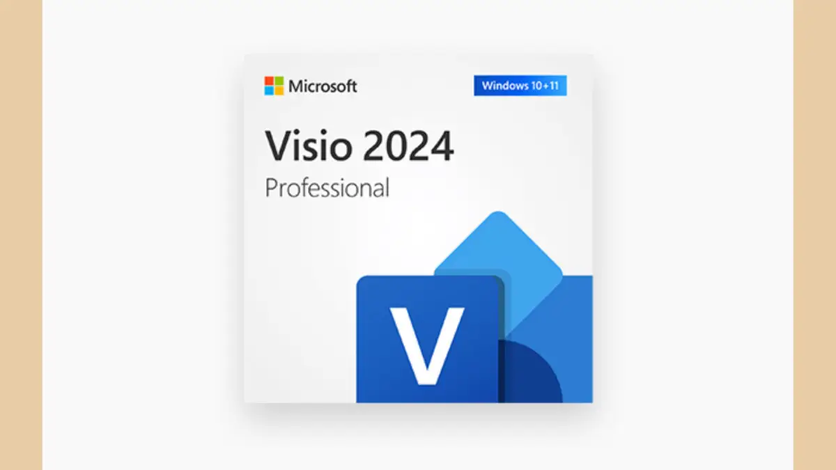 Microsoft Visio Professional Review - Lifetime License - ziligma