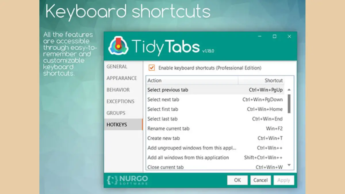 TidyTabs Windows Manager Review - ziligma